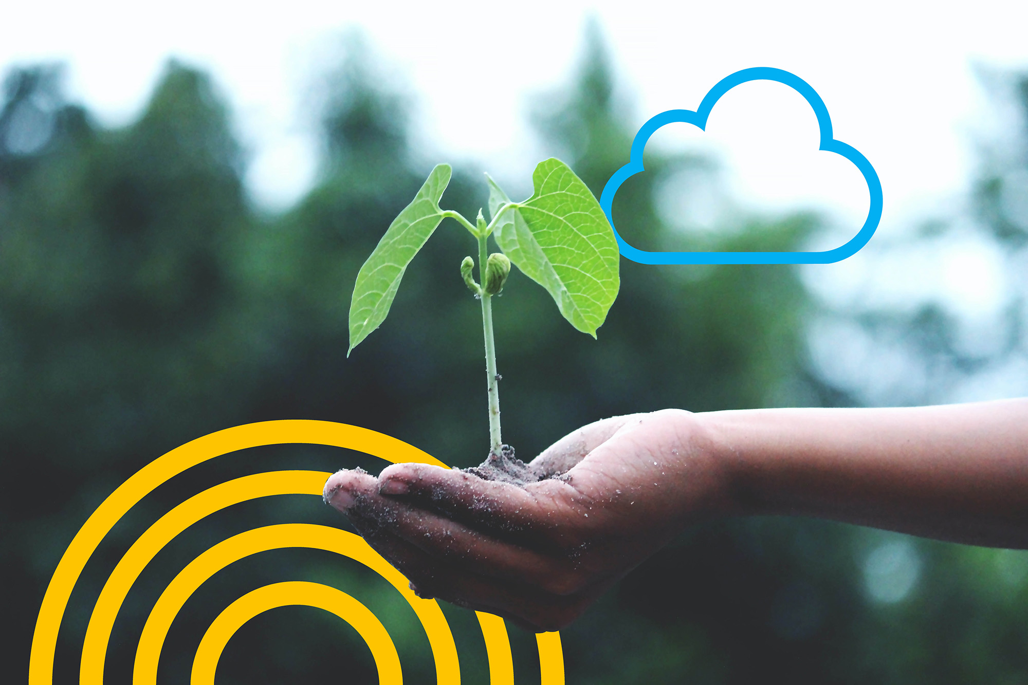 Science Center for Education and Learning Soppi - The Lifelong Learning ...